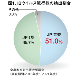 常在化する鶏伝染性気管支炎（IB）JP-Ⅲ型対応のワクチンを開発 | ちくさんクラブ21